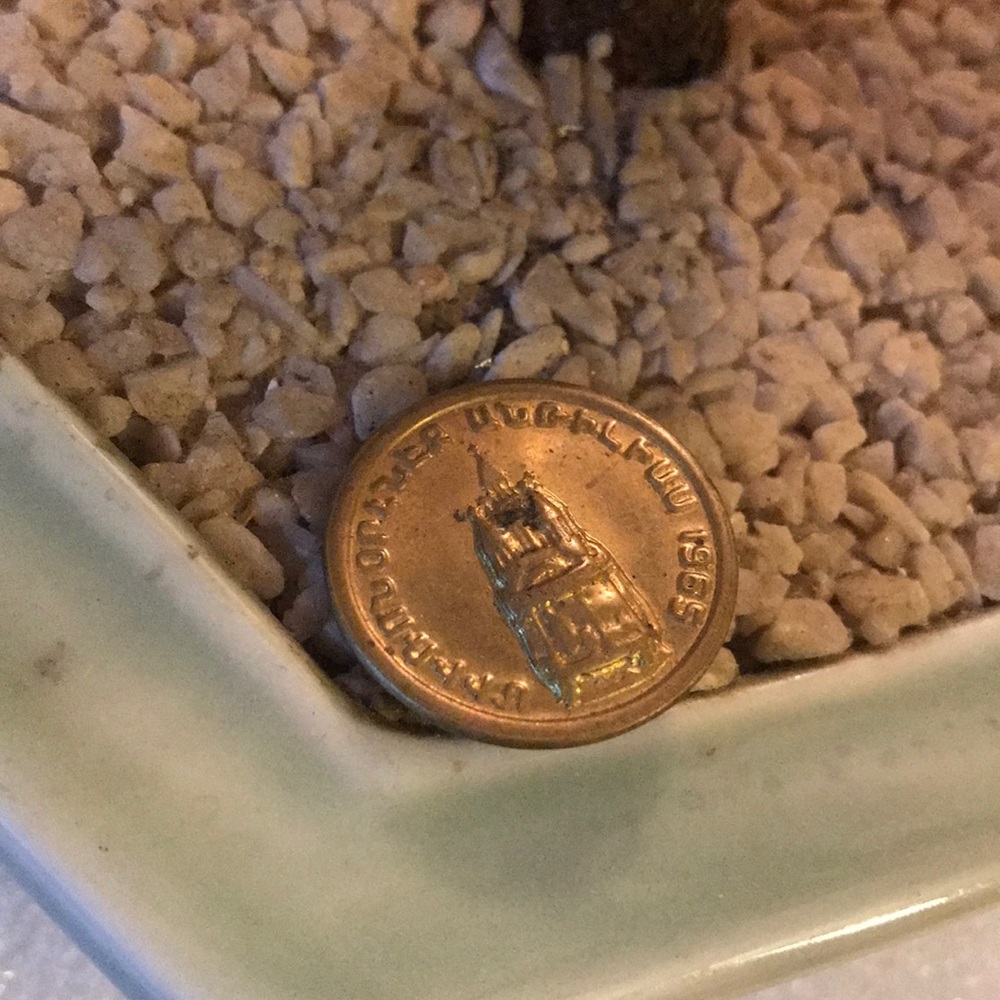 Vintage 1965 Temple Asian Pin - Gem